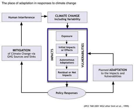 Climate Solutions: Adaptation vs. Mitigation | Course Template